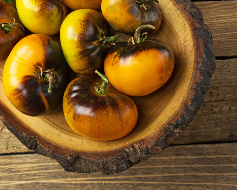 Tomato: Blue Gold – Vintage Seed Co.
