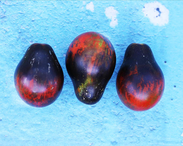 Tomato: Blue Keyes – Vintage Seed Co.