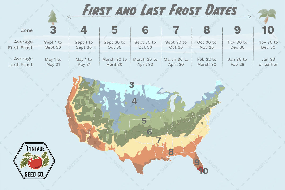 First & Last Frost Dates Map- Free Download – Vintage Seed Co.
