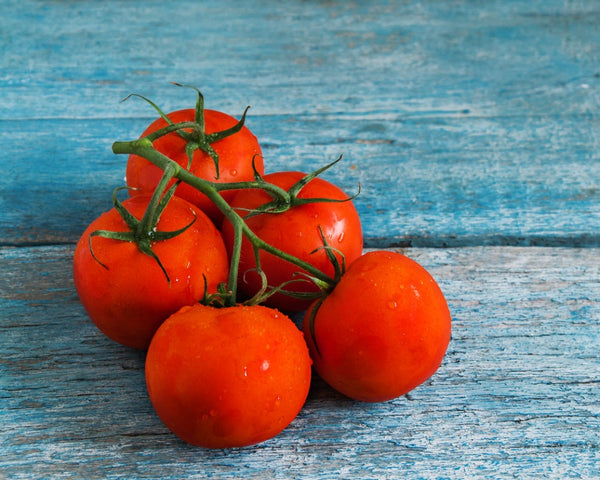 Tomato: Peron *Overstock* – Vintage Seed Co.