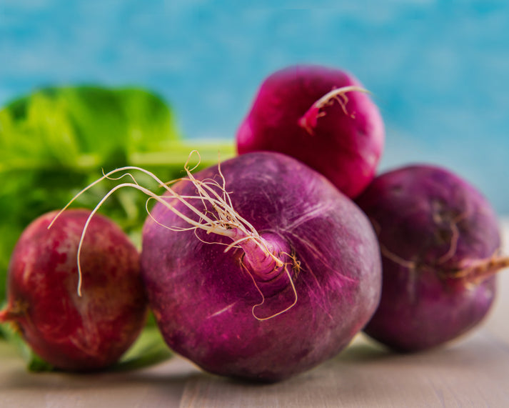 Radish: Purple Plum – Vintage Seed Co.