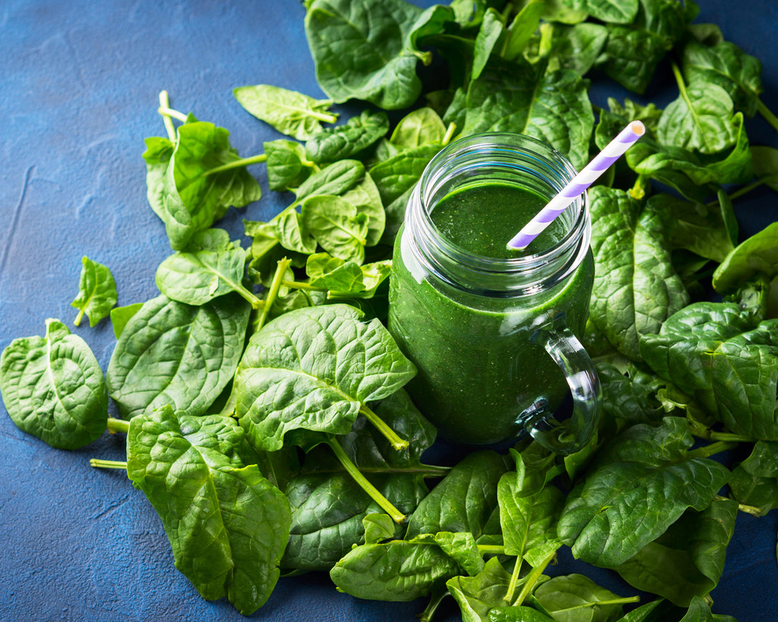 Spinach: Monstrueux De Viroflay – Vintage Seed Co.