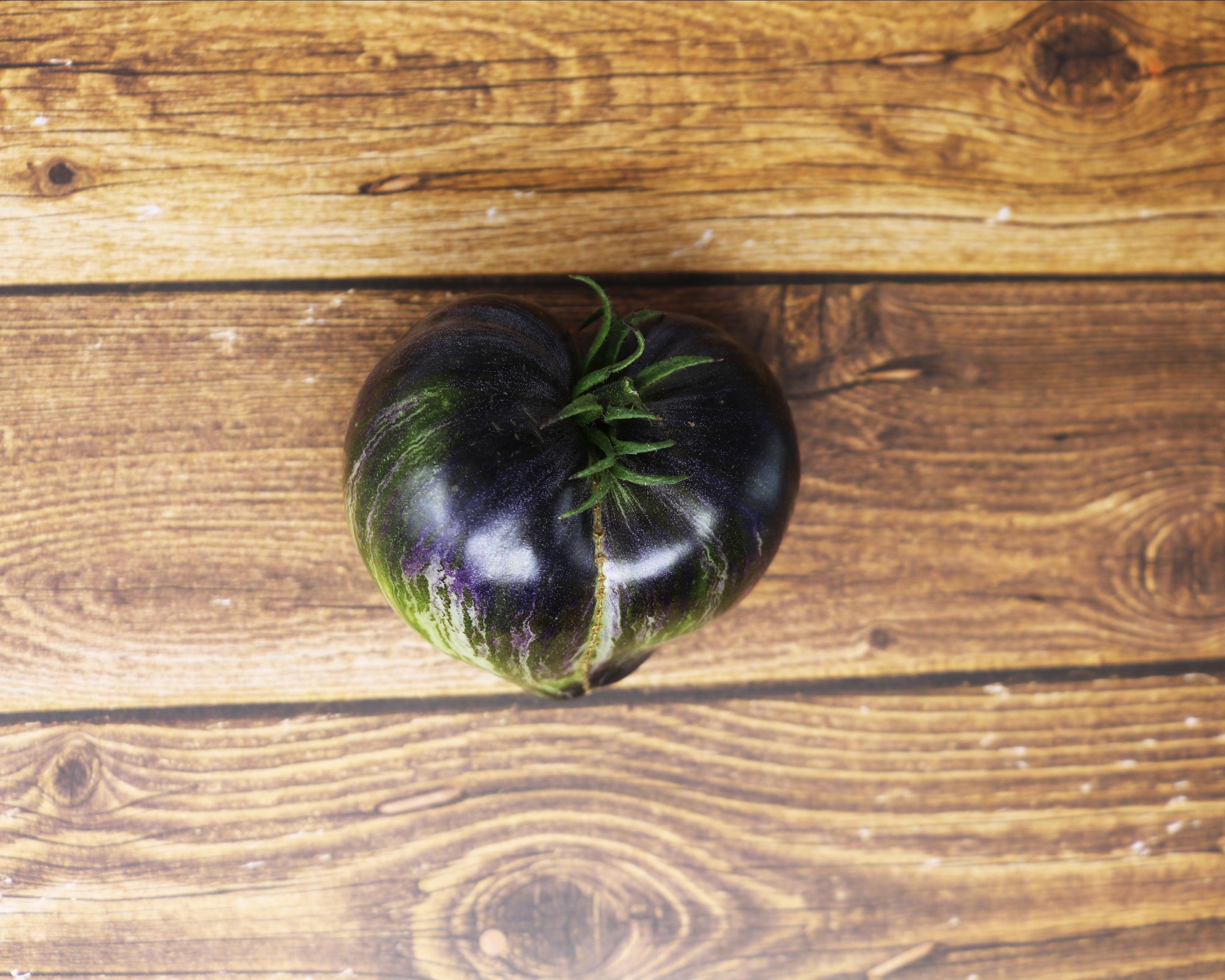 Tomato: Rebel Starfighter Prime – Vintage Seed Co.