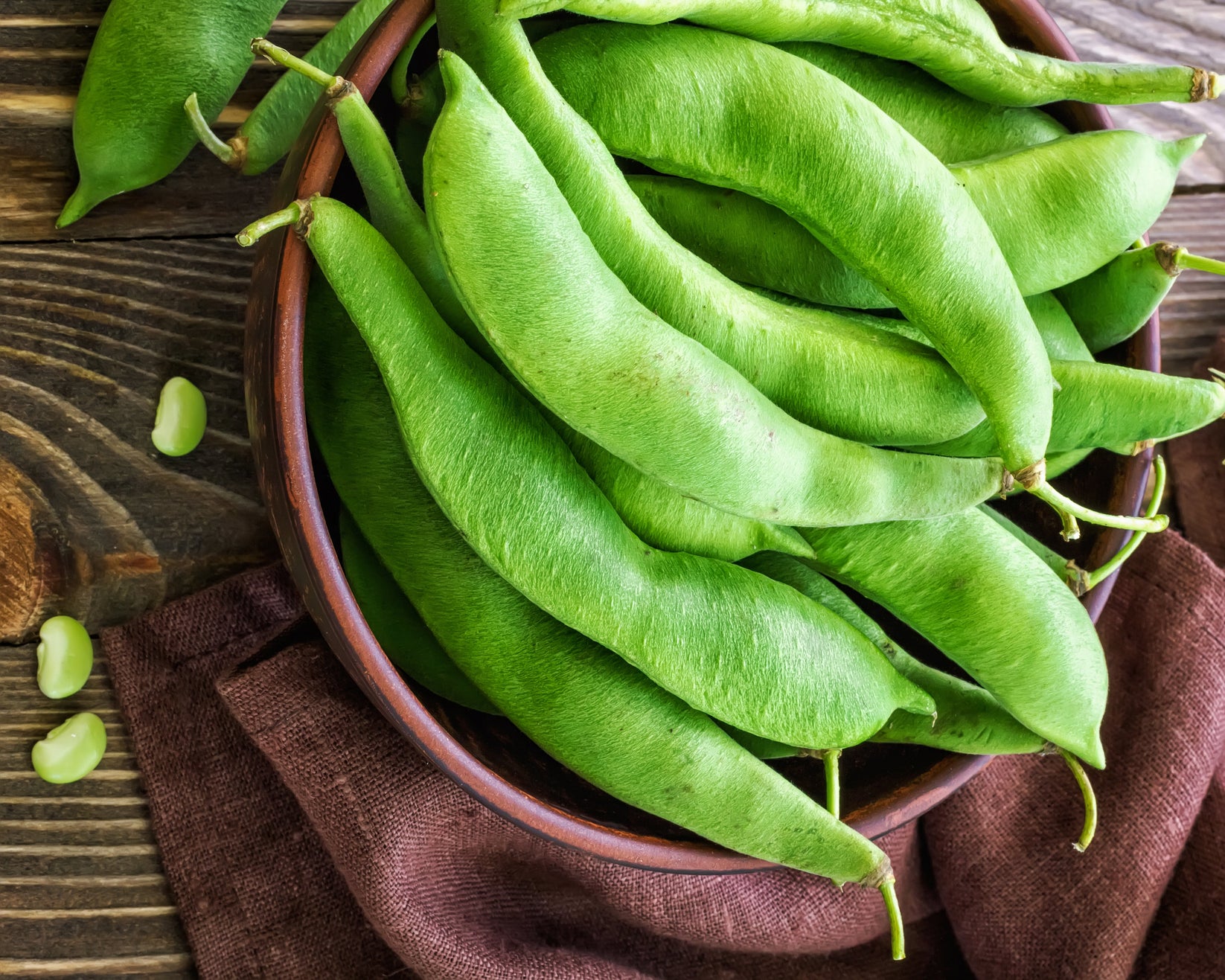 Bean, Lima: Fordhook – Vintage Seed Co.