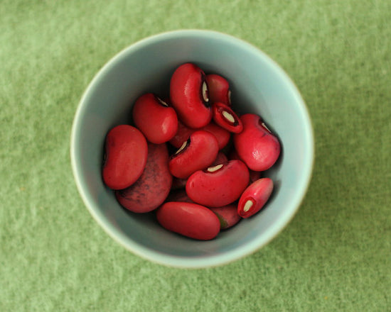 Bean, Runner: Pink Half – Vintage Seed Co.