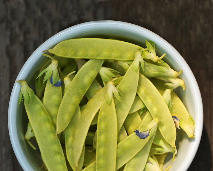 Pea: Royal Honey Snap – Vintage Seed Co.