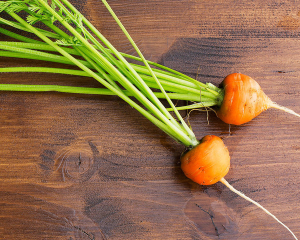 Carrot: Thumbelina – Vintage Seed Co.