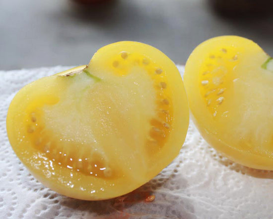 Tomato: Yellow Furry Boar – Vintage Seed Co.